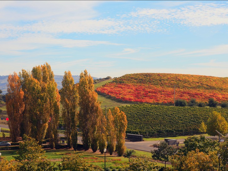 5 Beautiful Places To Vacation In The Fall | TravelAwaits