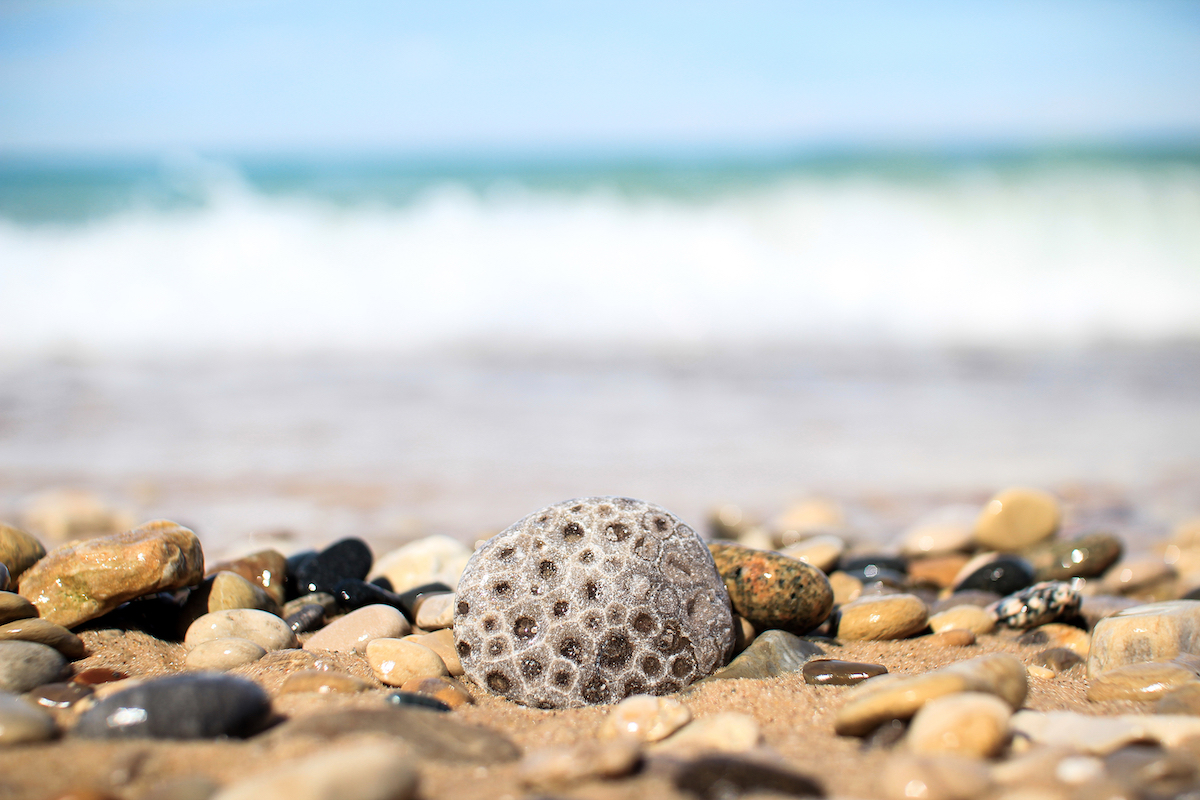 The Best Things To Do In Beautiful Petoskey, Michigan, Plus Where To ...