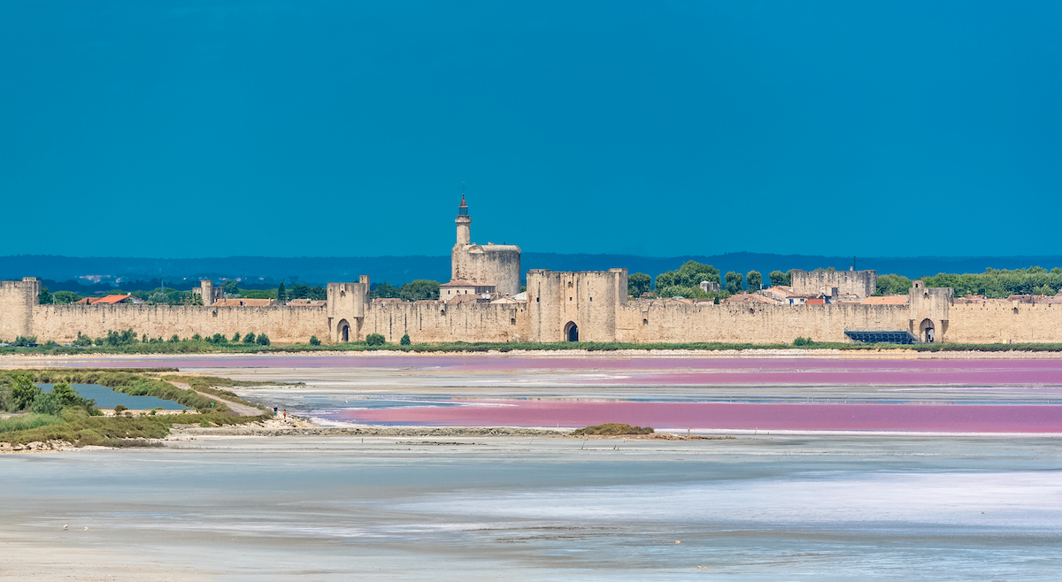 The Allure Of Camargue: The Wild West Of France