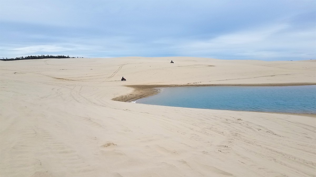 8 Best Experiences Along Three Capes Scenic Loop