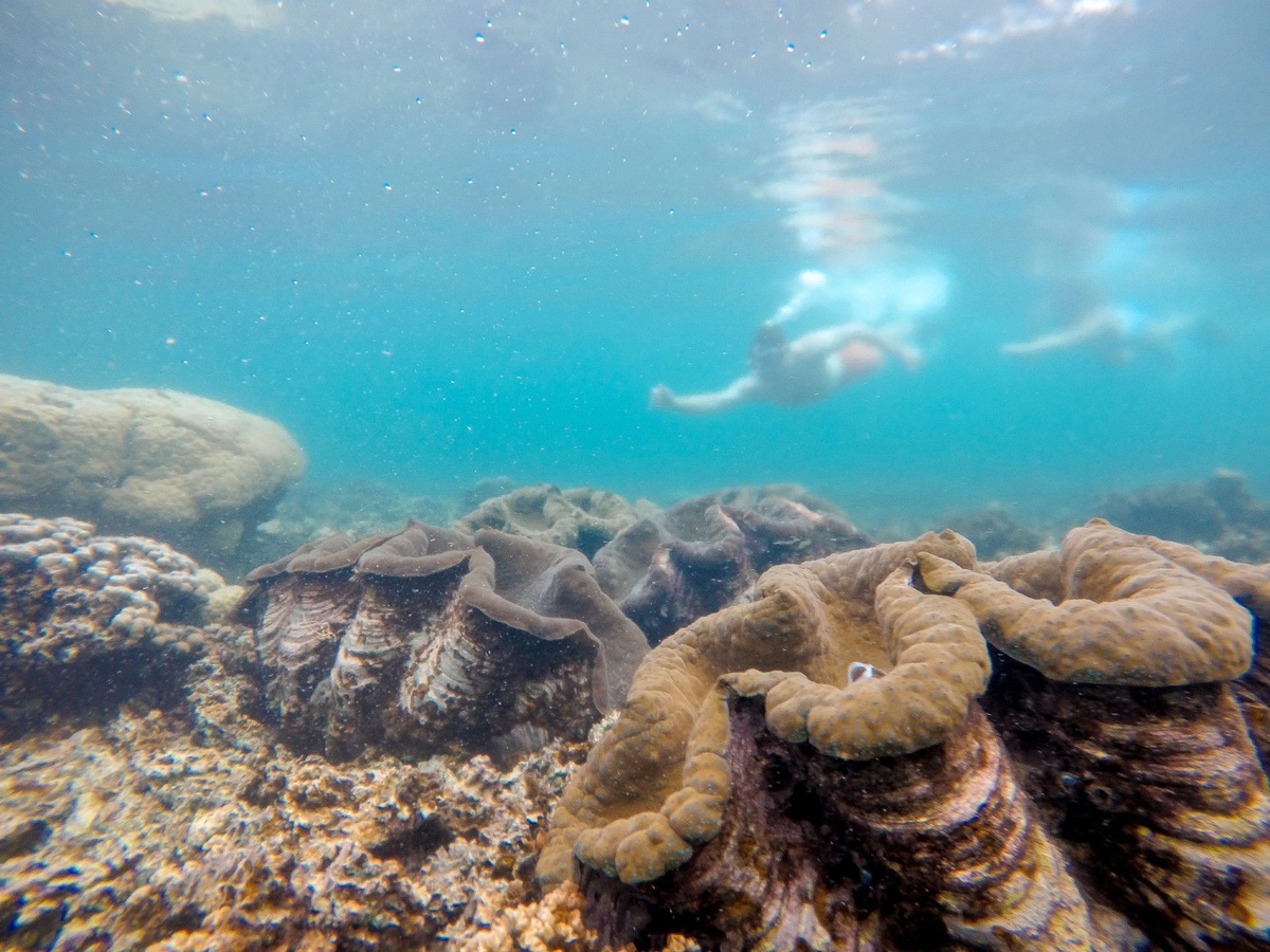 8 Incredible Experiences Not To Miss In Samoa
