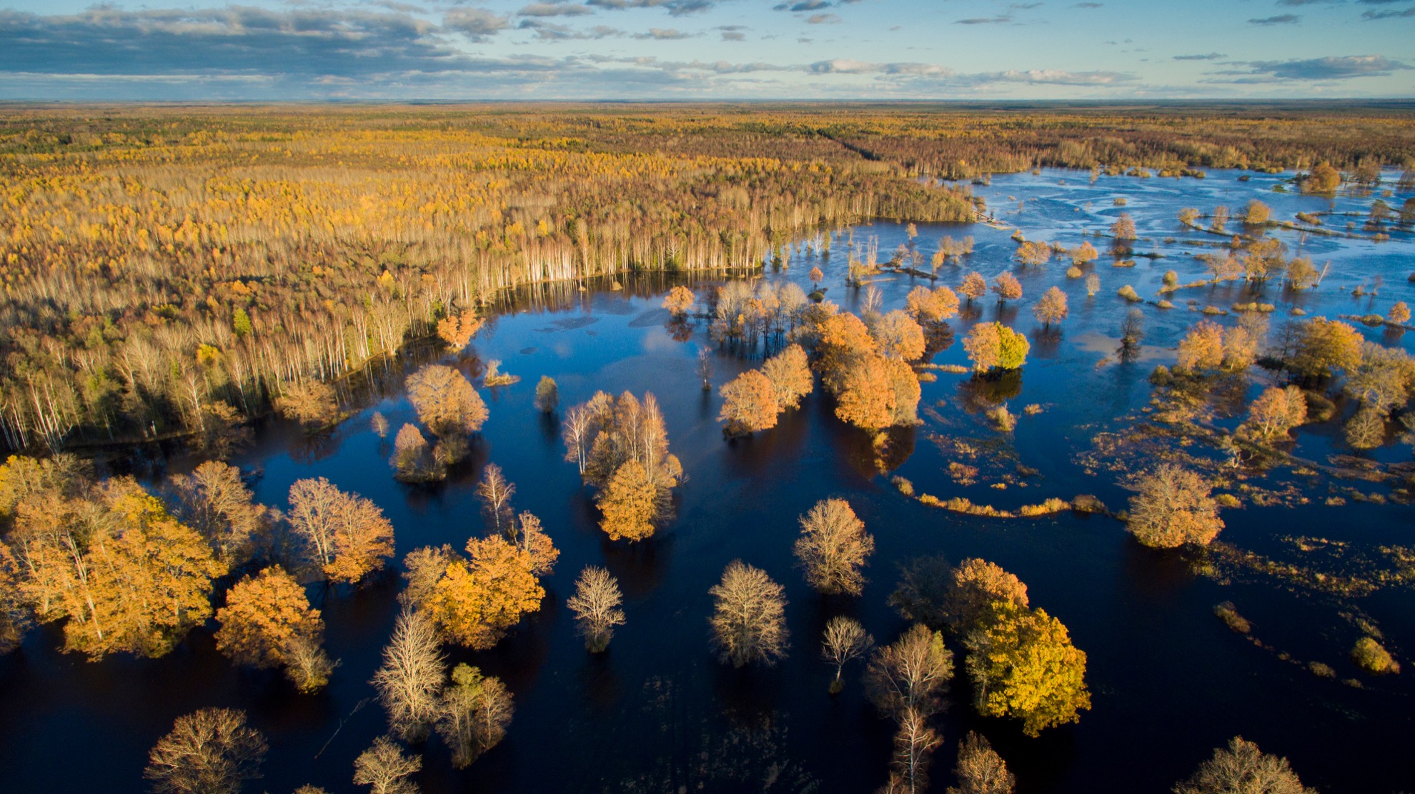 7 Incredibly Beautiful Places In Estonia