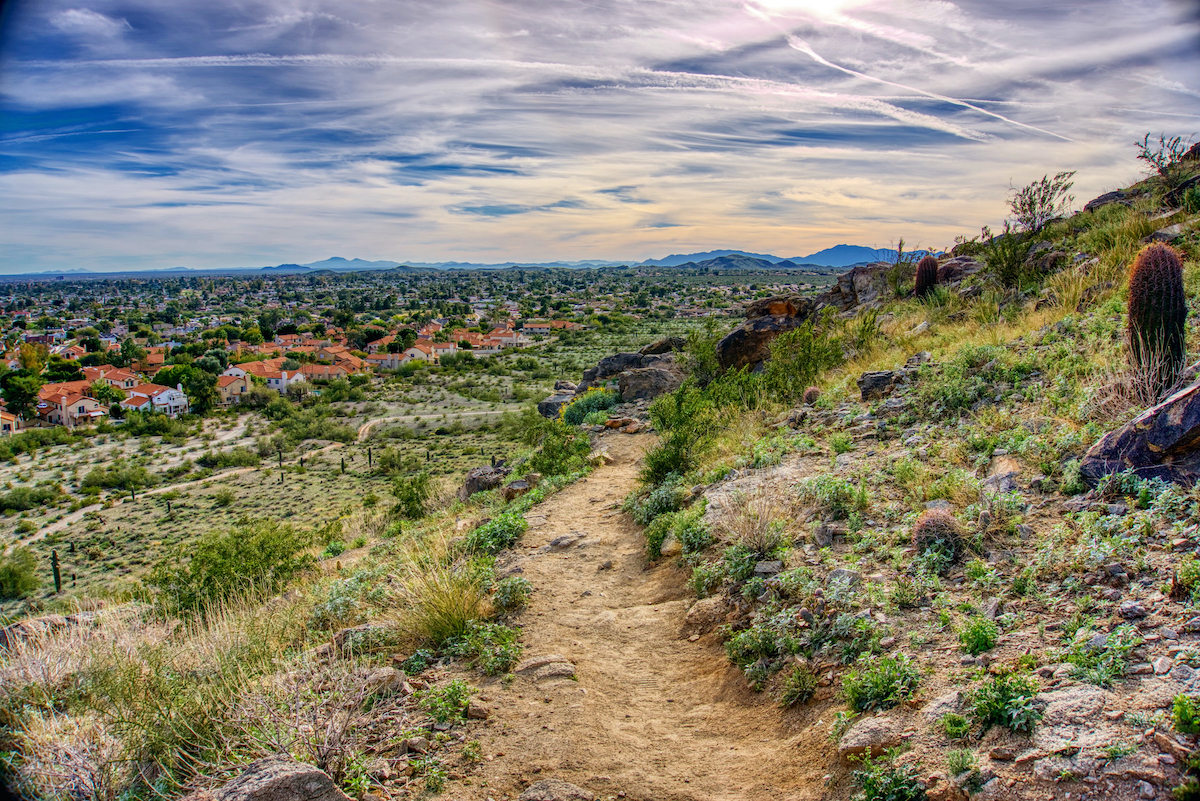 7 Best Places To Experience The Sonoran Desert | TravelAwaits
