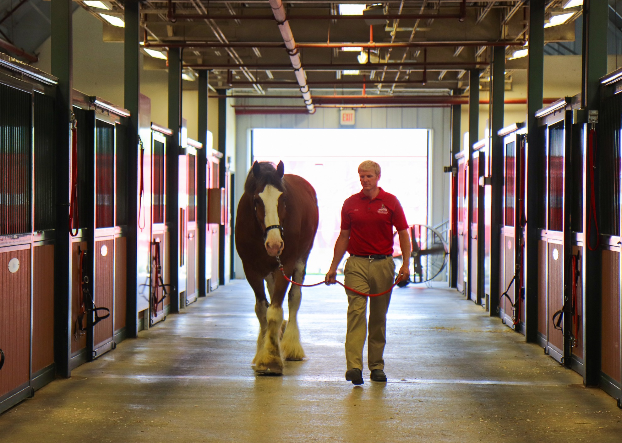 How To Visit Warm Springs Ranch | TravelAwaits