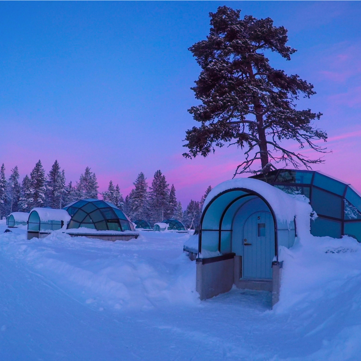 10 Hotels With Northern Lights Views | TravelAwaits