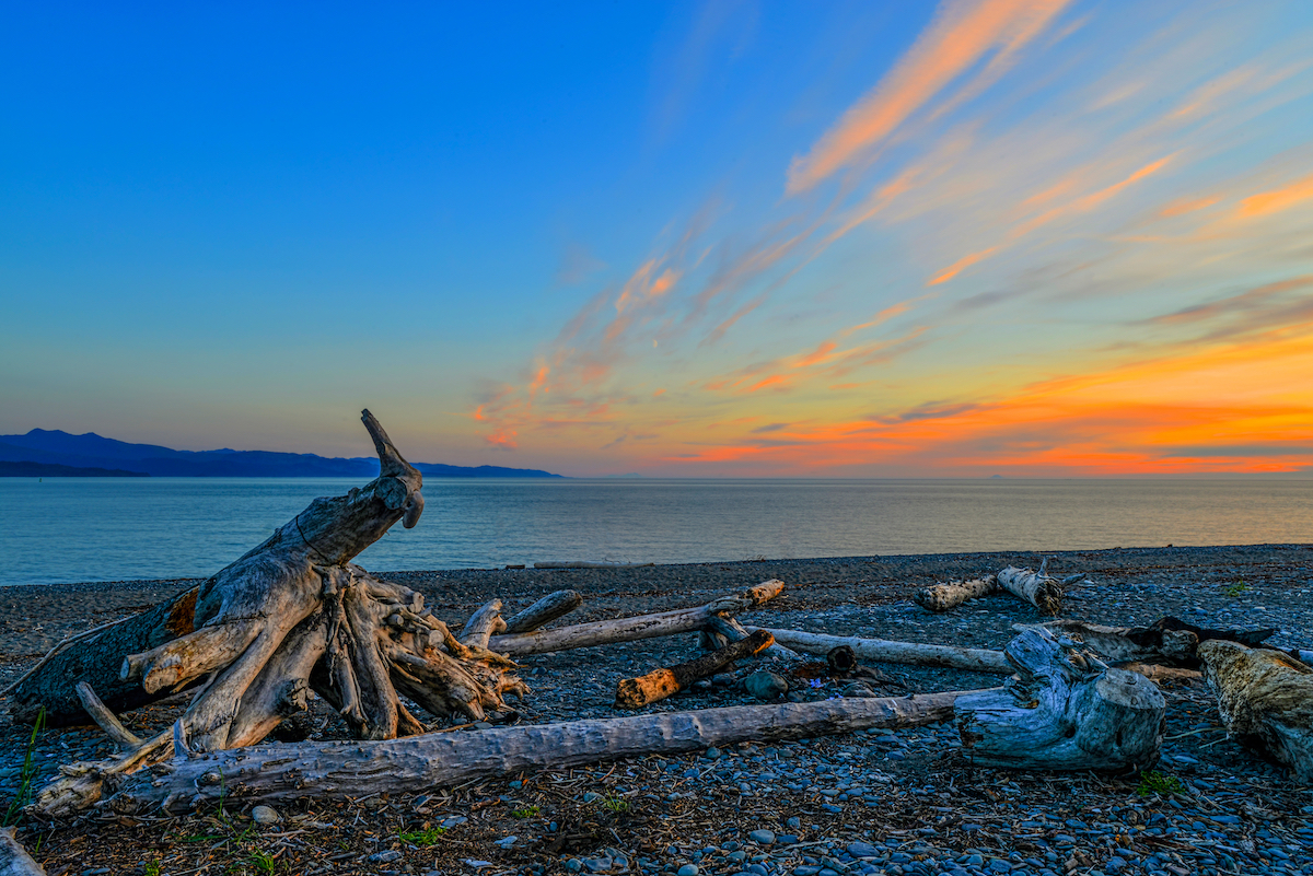 The Best Things To Do In Homer, Alaska: Plus, Where To Eat And Stay