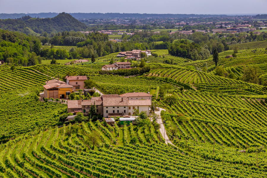 The 7 Best International Wine Regions According To A Wine Lover