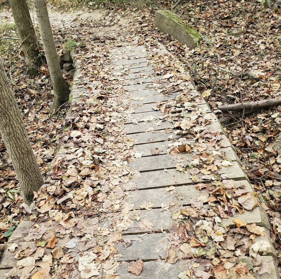 9 Best Hikes In Beautiful Indiana