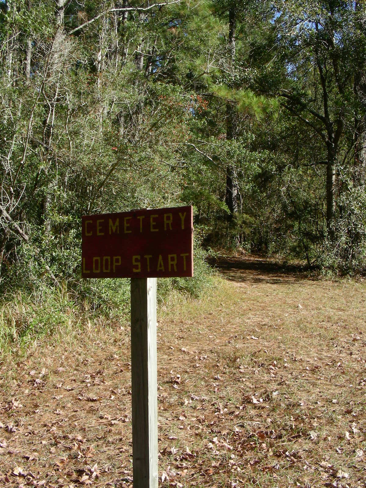 8 Best Mountain Biking Trails In Alabama | TravelAwaits
