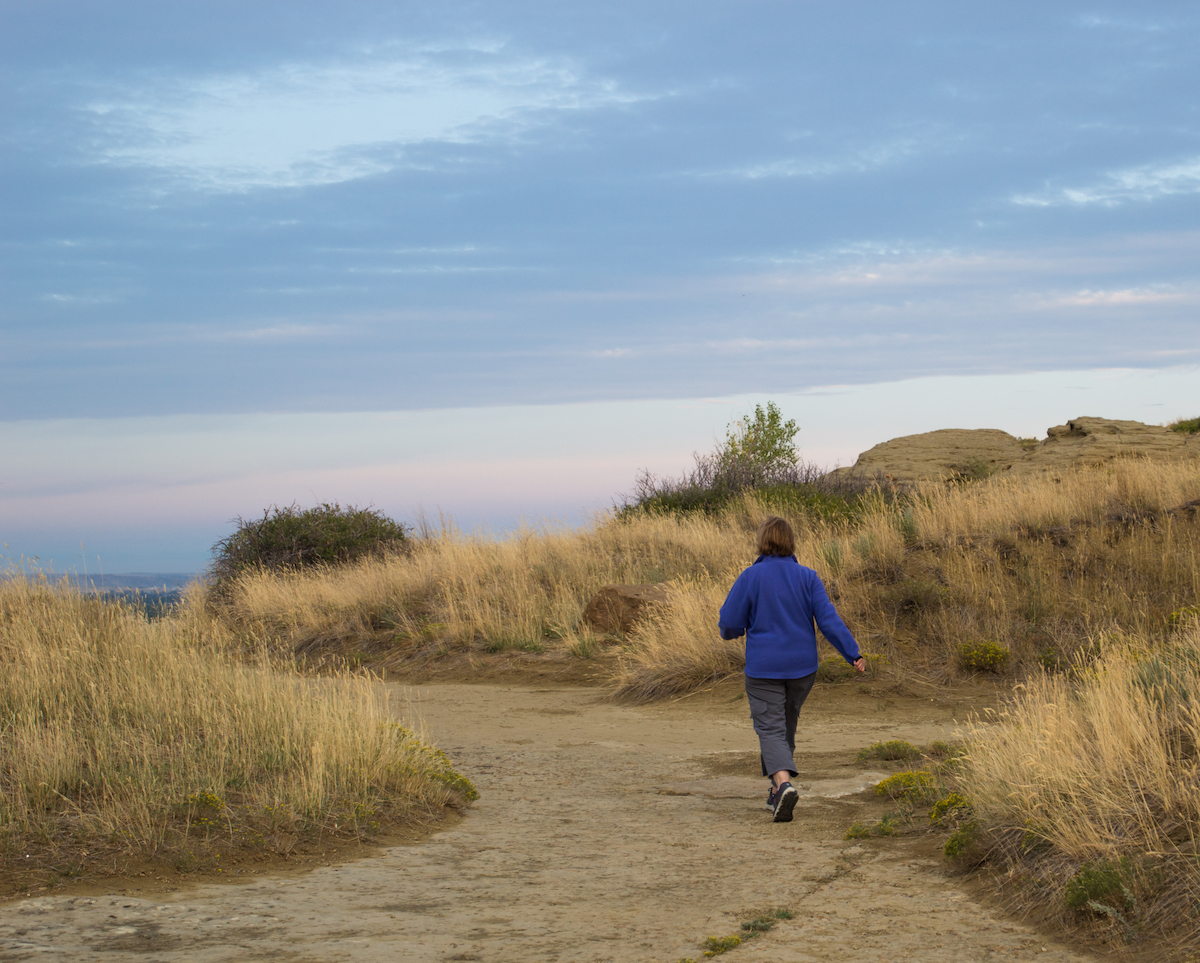 9 Best Walking, Hiking, And Biking Trails In Billings