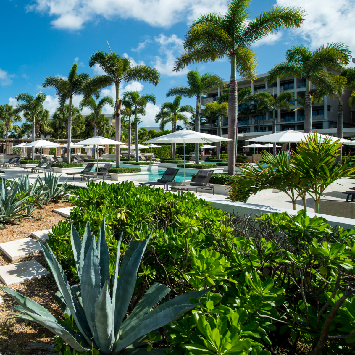 4 Incredible Things To Do In Anguilla Plus Best Beaches And Where To Stay