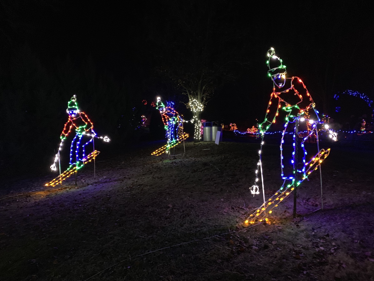 15 Amazing Christmas Light Displays In Wisconsin