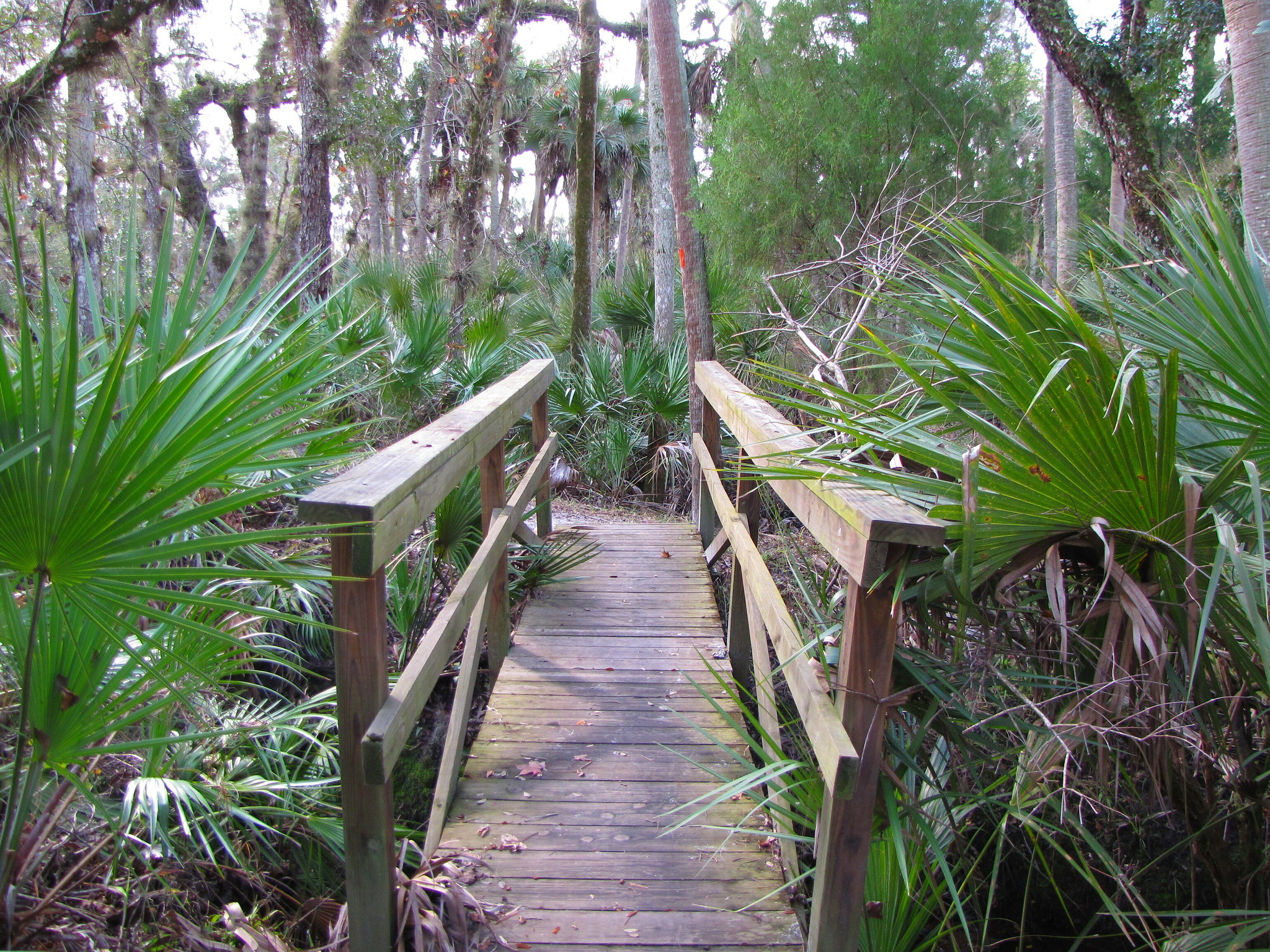 9 Best Hikes In Beautiful Florida