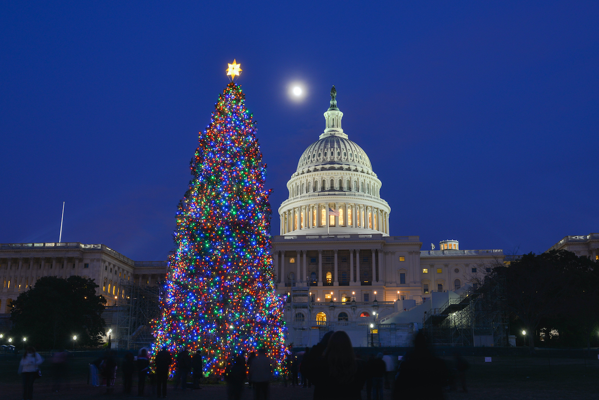 The Most Beautiful Virtual Christmas Light Displays In The U.S ...