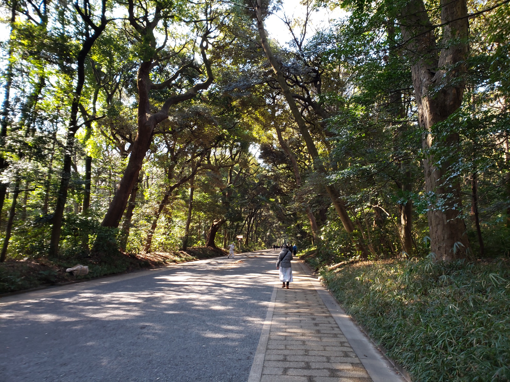 10 Great Free Things To Do Outdoors In (And Around) Tokyo | TravelAwaits