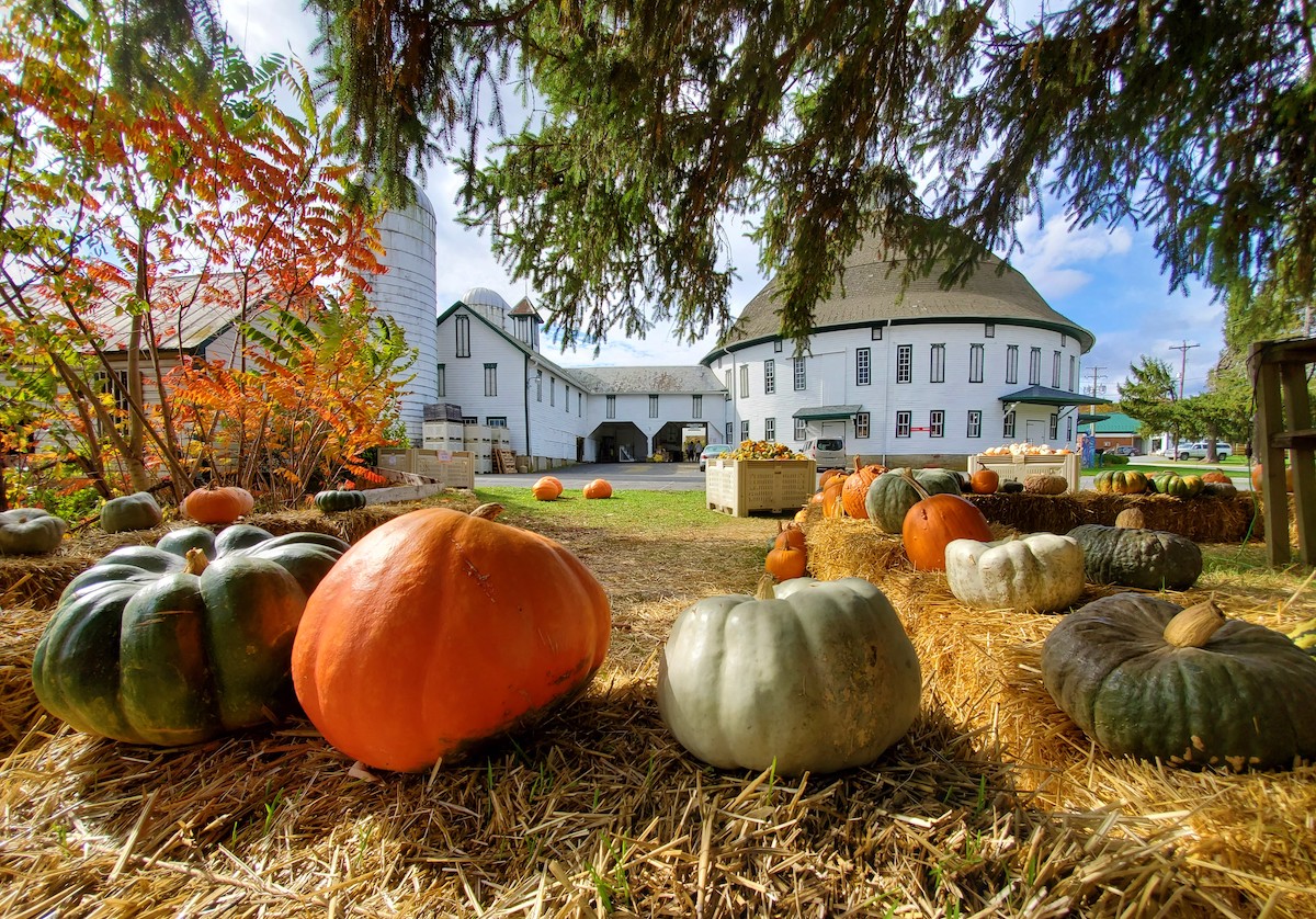 The Best Things To See And Do In Gettysburg: Fusing The Old And New
