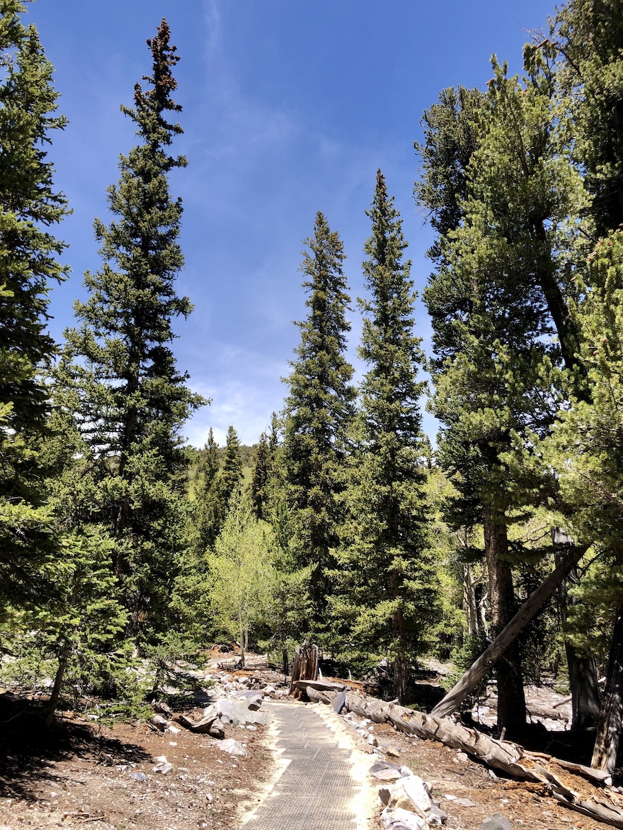 7 Beautiful Hikes In Great Basin National Park