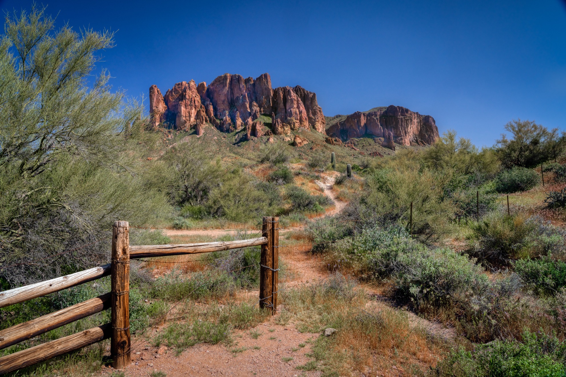 15 Truly Unique Experiences To Have In Arizona