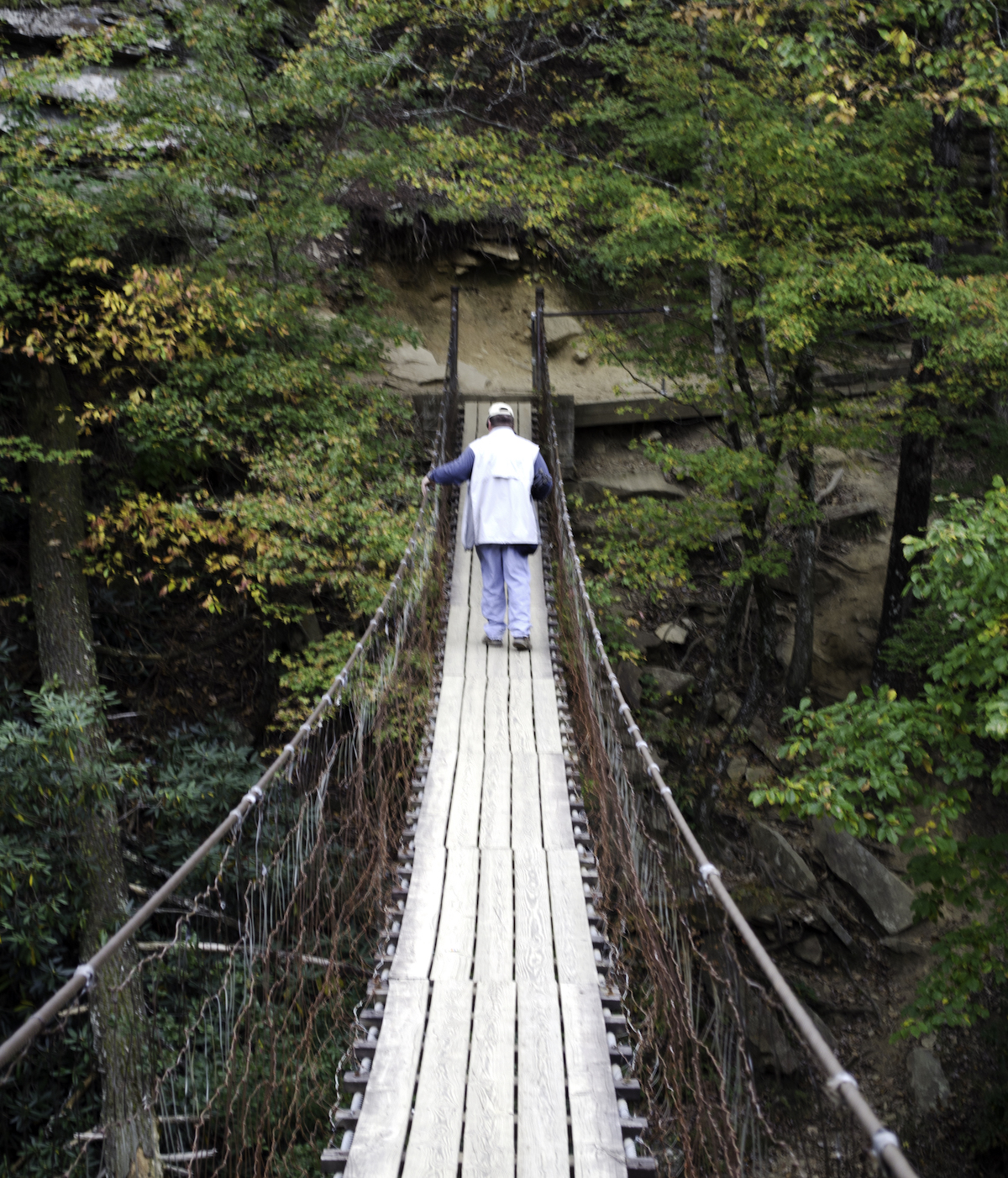 The Best Things To Do In Fall Creek Falls