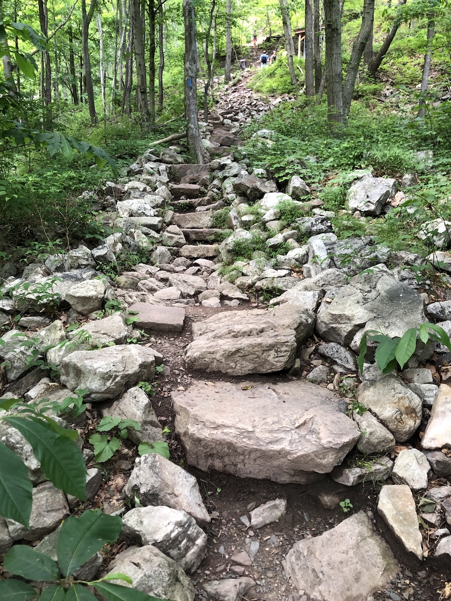 10 Best Hikes In Western Pennsylvania