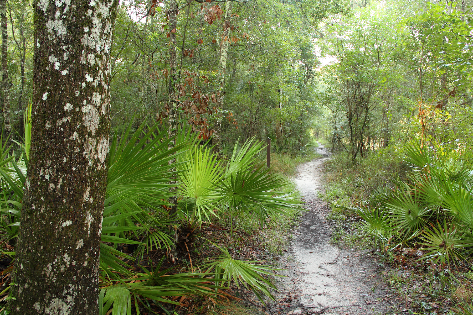 9 Best Hikes In Beautiful Florida