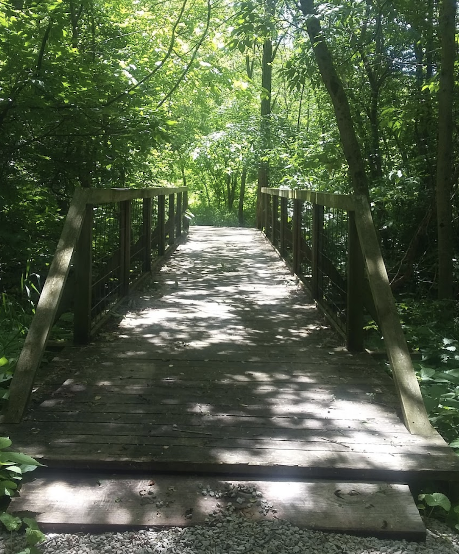 9 Best Hikes In Beautiful Indiana