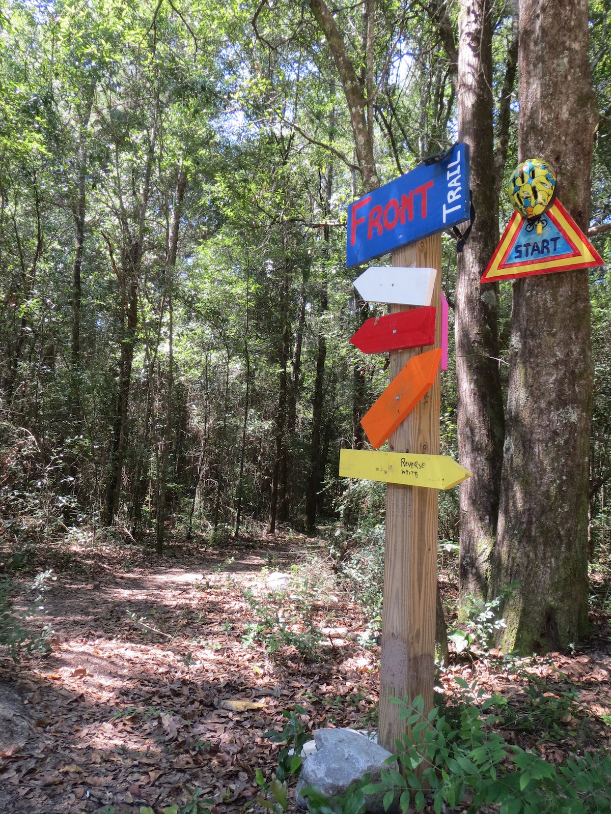 8 Best Mountain Biking Trails In Alabama | TravelAwaits