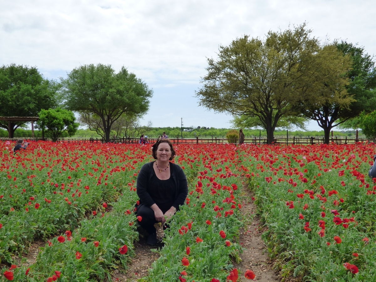 7 Most Scenic Places In Texas Hill Country