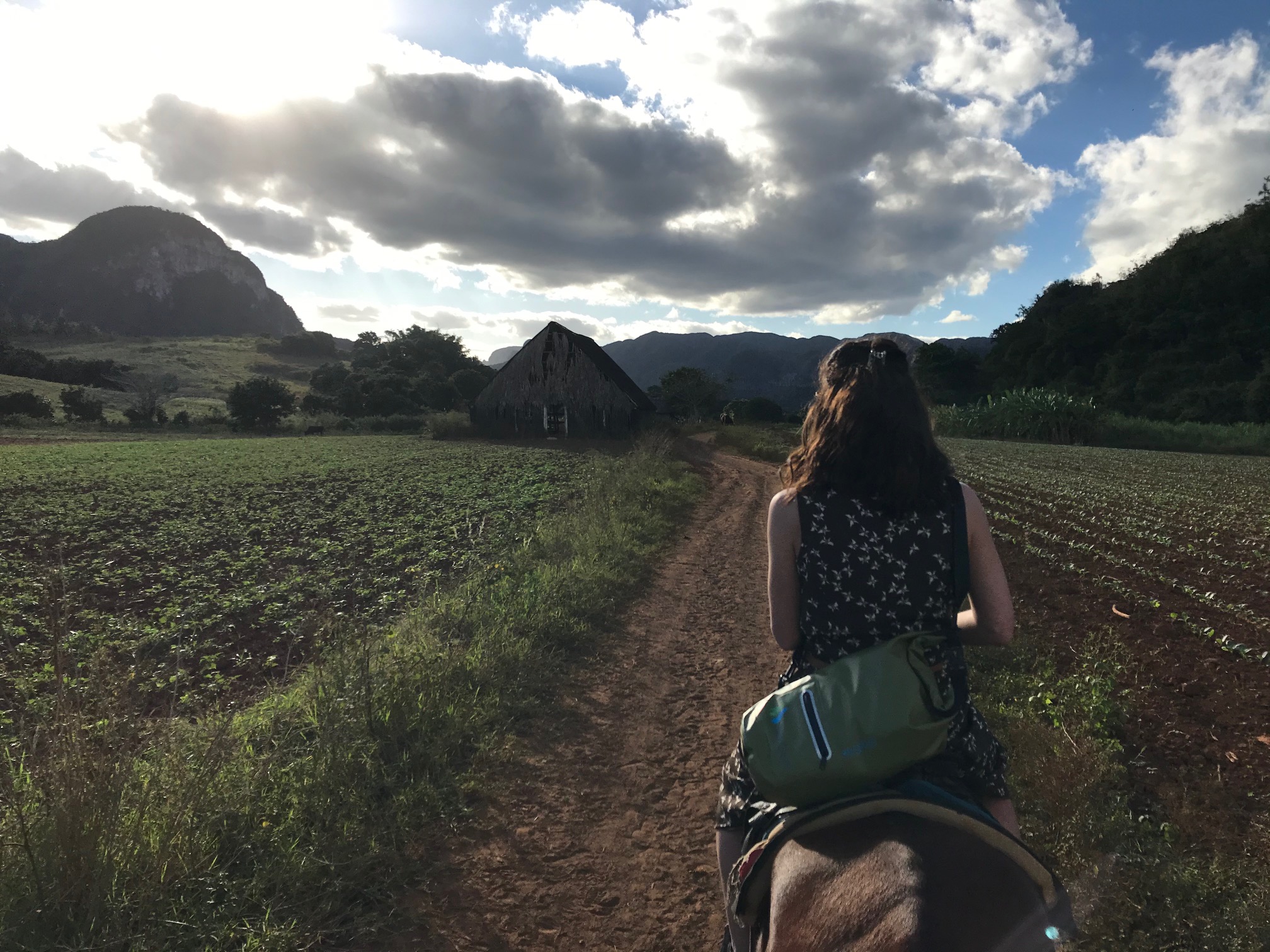 Visiting Vinales, Cuba: 8 Things To See And Do