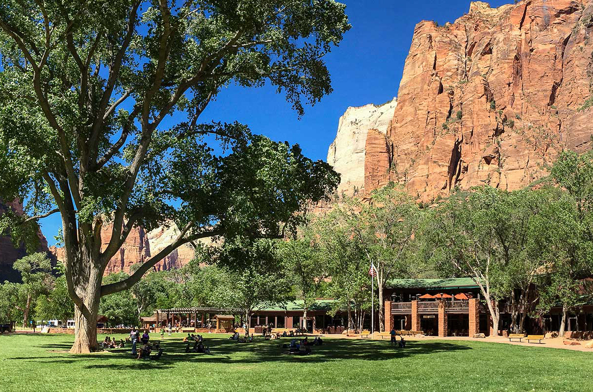 Visiting Zion National Park: The Best Things To Do