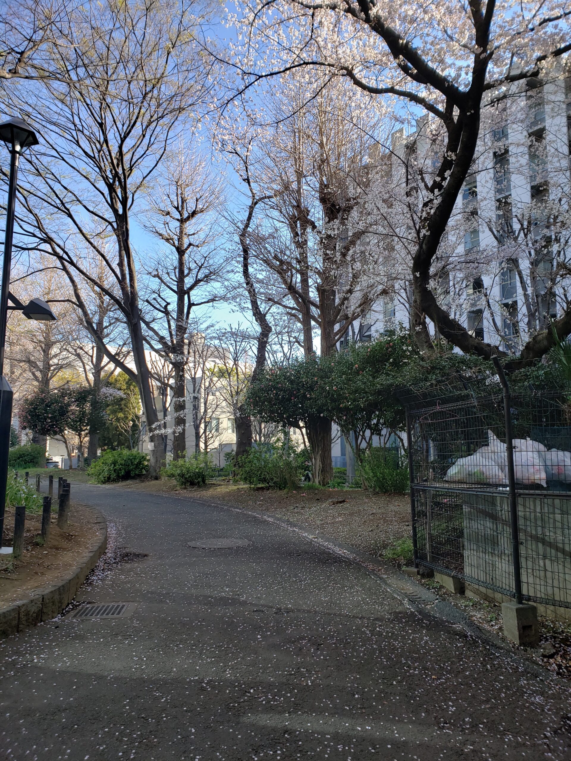 10 Great Free Things To Do Outdoors In (And Around) Tokyo | TravelAwaits