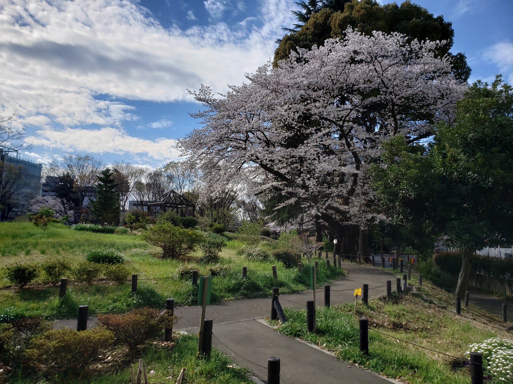 10 Great Free Things To Do Outdoors In (And Around) Tokyo | TravelAwaits