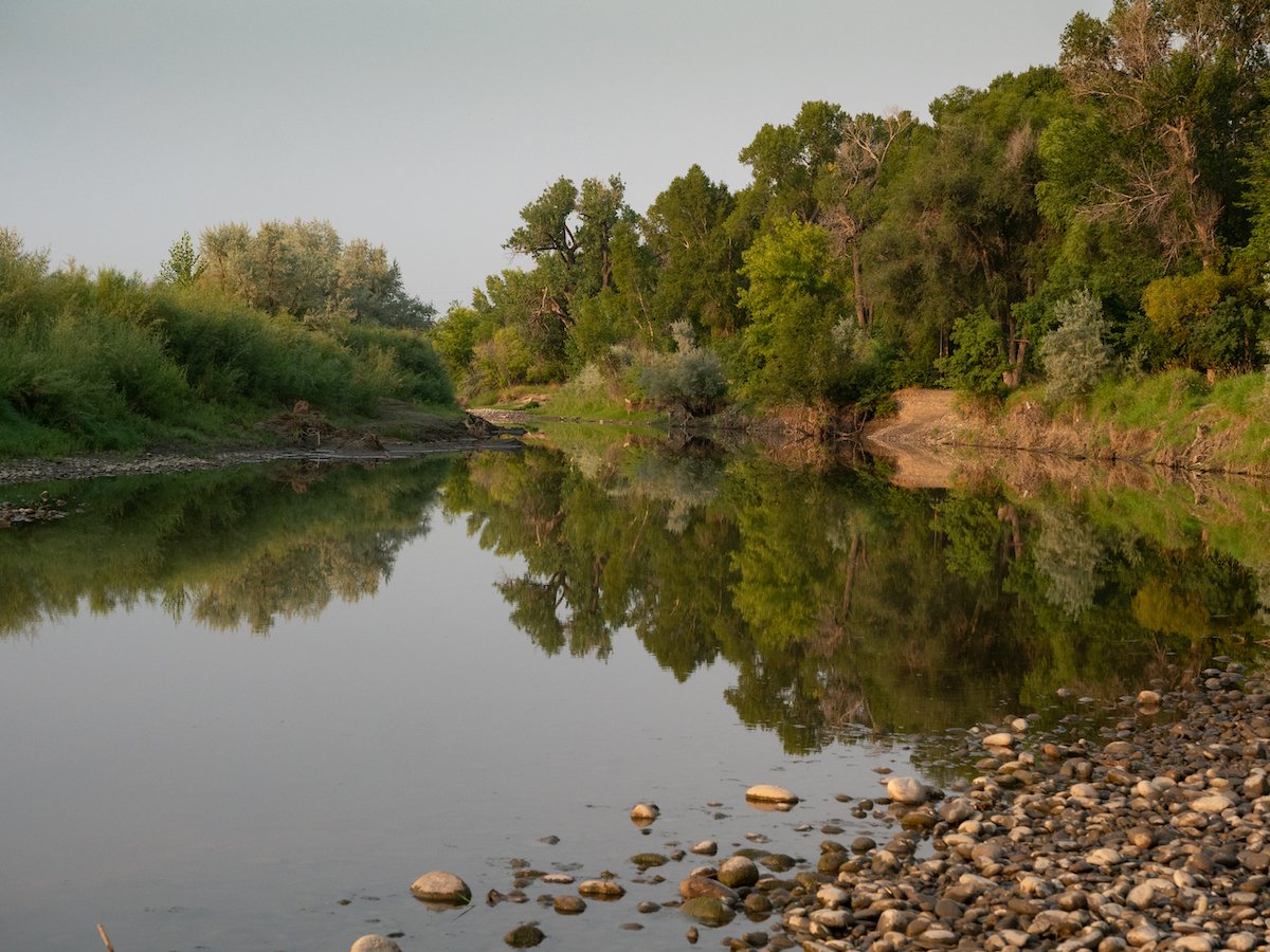 9 Best Walking, Hiking, And Biking Trails In Billings