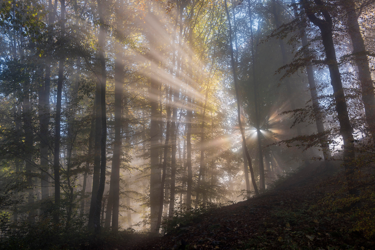 7 Fantastic Experiences In Germany’s Black Forest Region