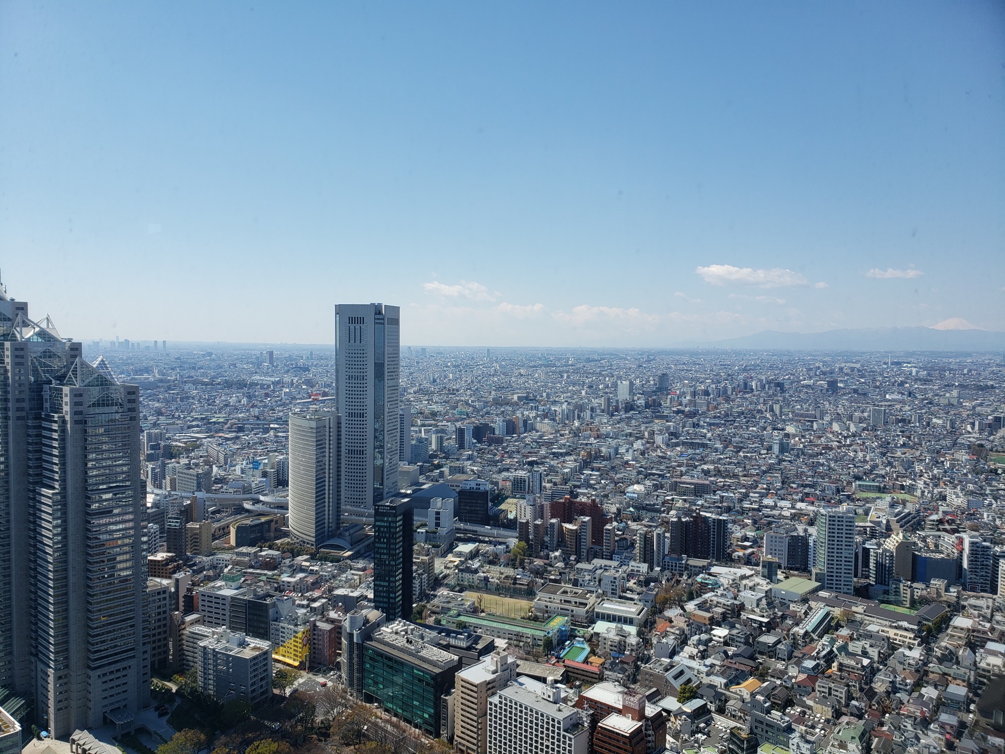 10 Great Free Things To Do Outdoors In (And Around) Tokyo | TravelAwaits