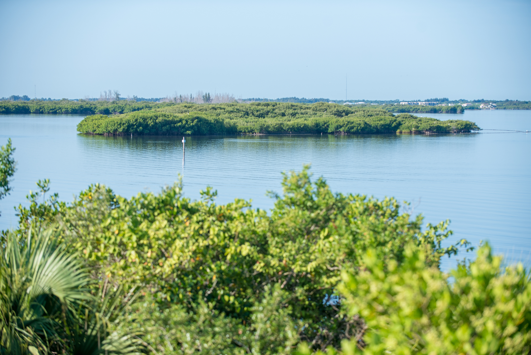 9 Best Hikes In Beautiful Florida