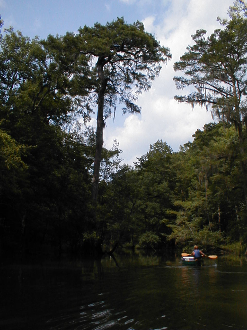 Tips For Best Experiencing The Alabama Scenic River Trail