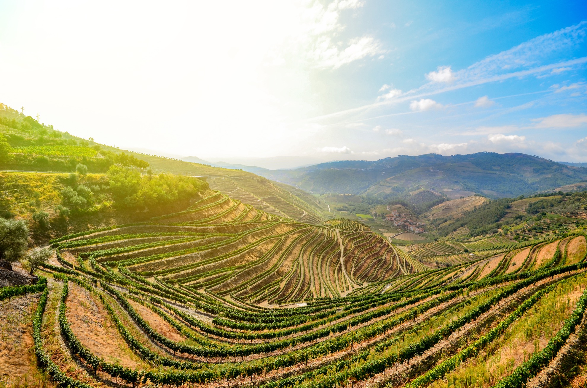 Wine Tasting In Porto: 11 Things To Know Before You Go | TravelAwaits