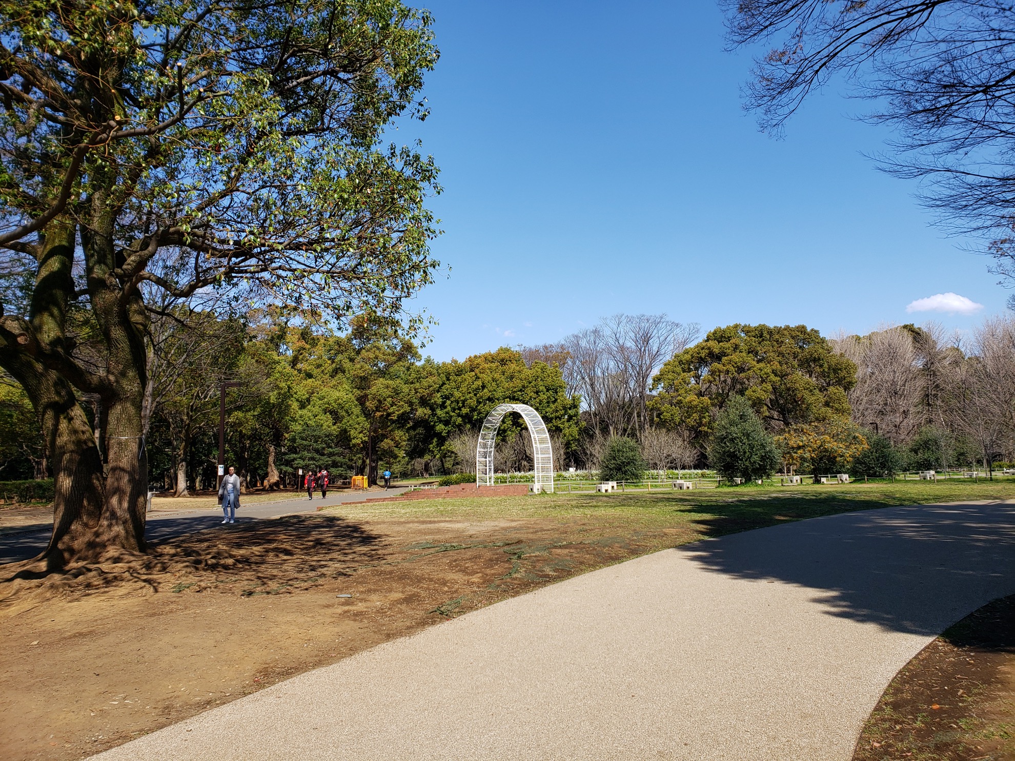 10 Great Free Things To Do Outdoors In (And Around) Tokyo | TravelAwaits