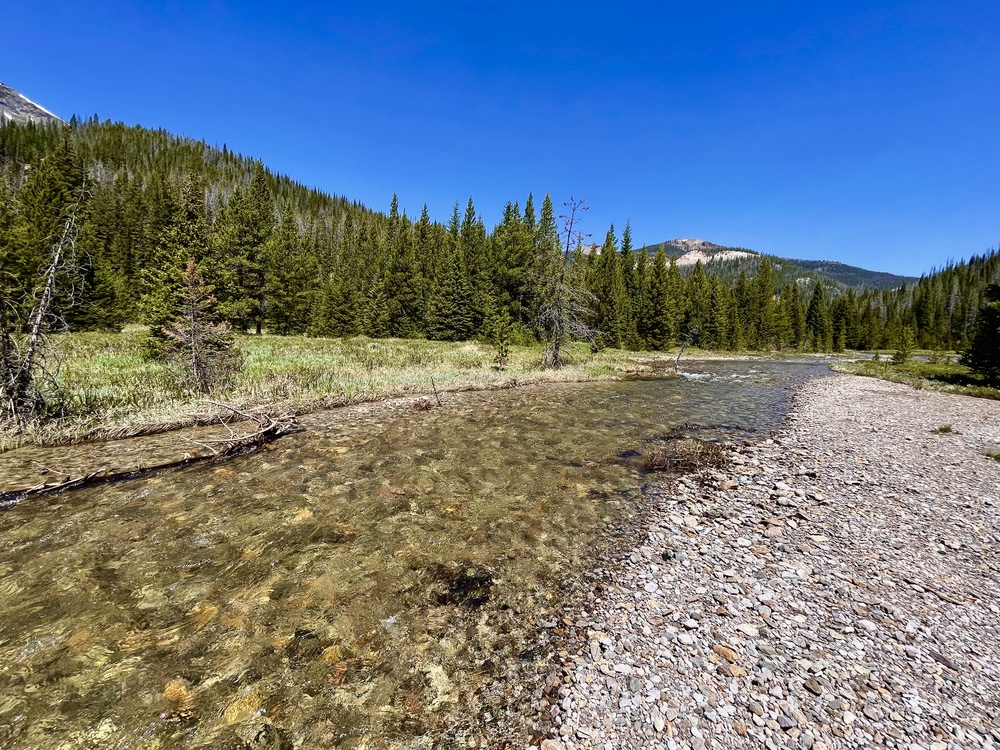 Hiking Lulu City In Rocky Mountain National Park | TravelAwaits