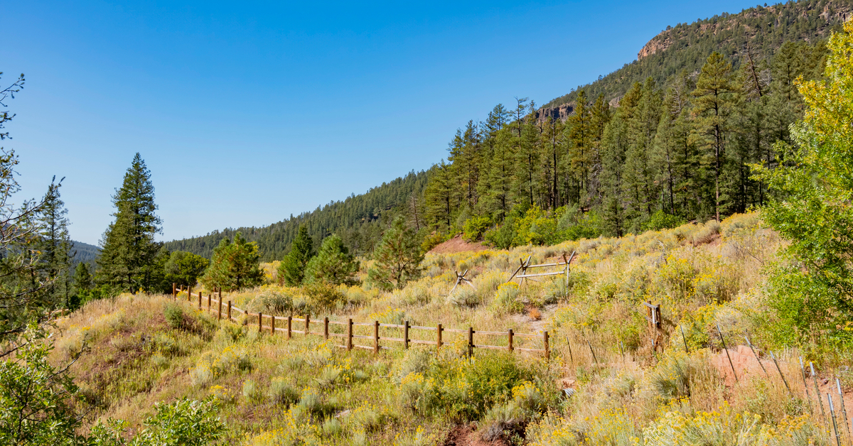 10 Best Things To Do At Valles Caldera National Preserve | TravelAwaits
