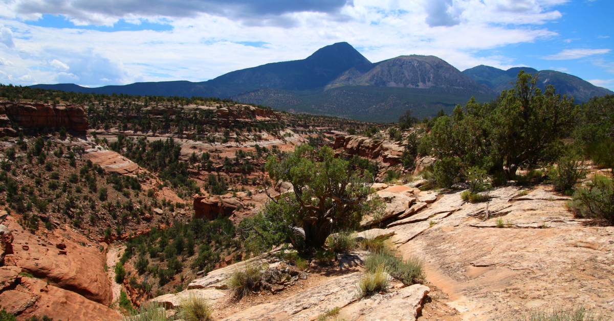 7 Best Things To Do In Cortez | TravelAwaits