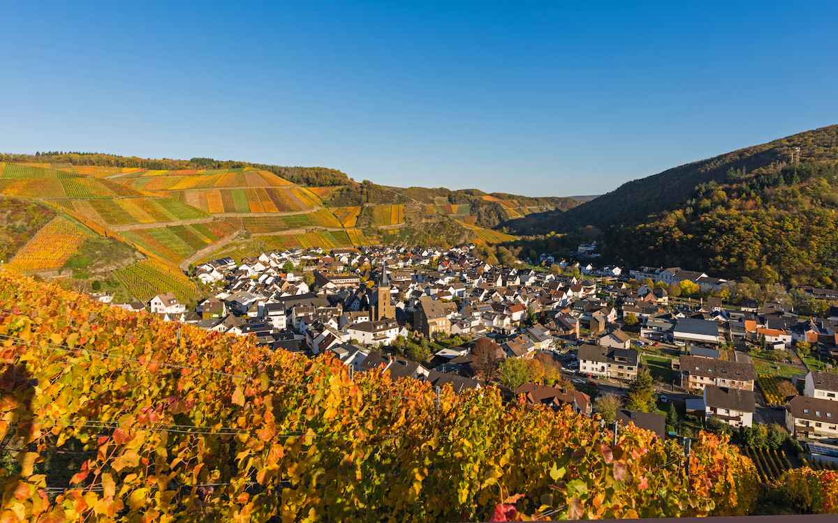 7 Best Fall Wine Tasting Destinations In Germany | TravelAwaits
