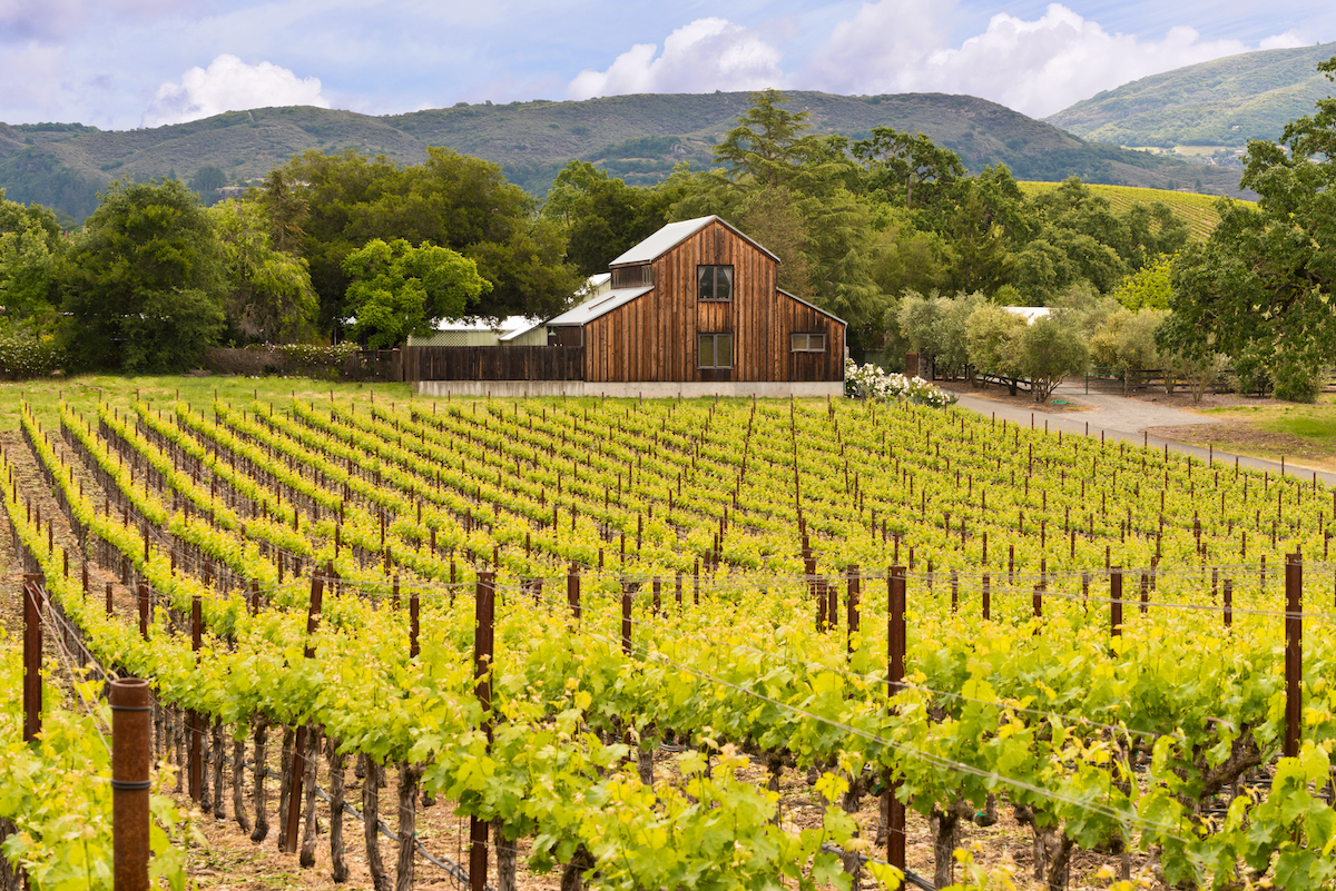 If You Like Napa Valley, You’ll Love These 4 Northern California Wine ...