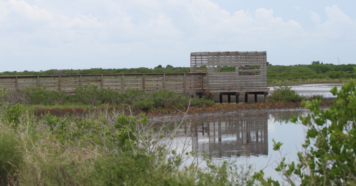 8 Amazing Experiences On Florida’s Merritt Island For Nature Lovers ...