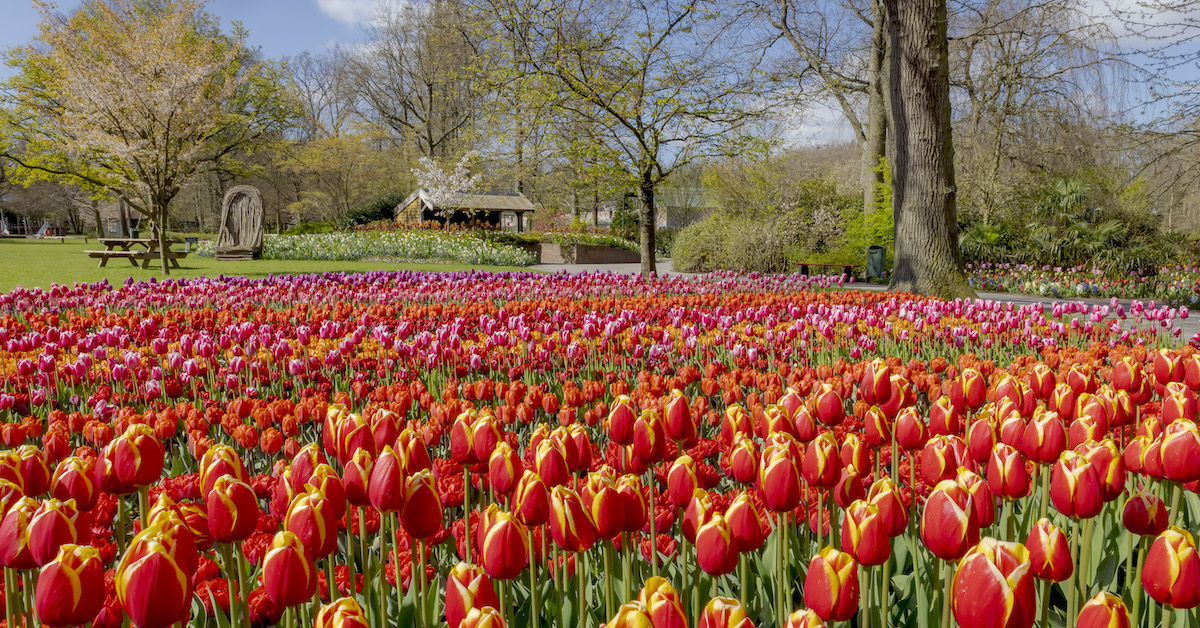8 Best European Destinations For Spring Flowers | TravelAwaits