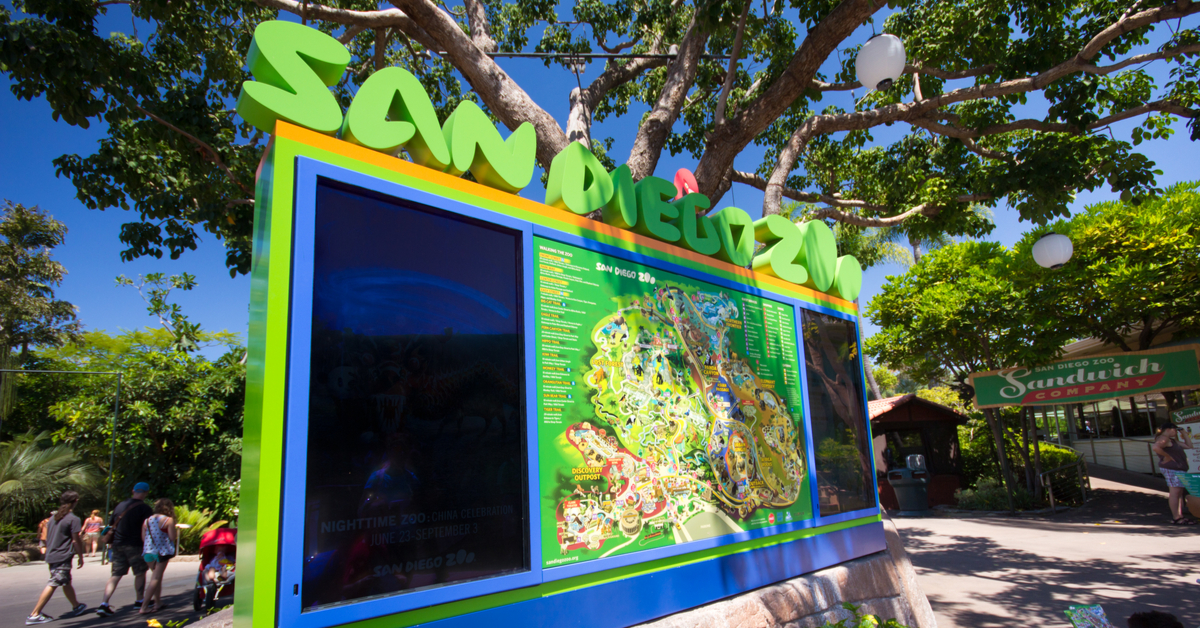 San Diego Zoo Opens New Area Perfect For Kids And Adults To Explore ...