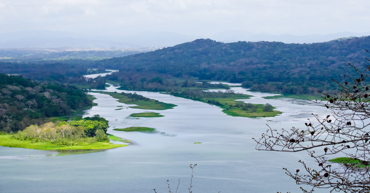 16 Amazing Adventures In The Panama Rainforest | TravelAwaits