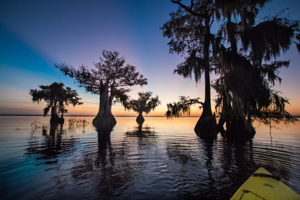 7 Fantastic Things To Do In Indian River County | TravelAwaits