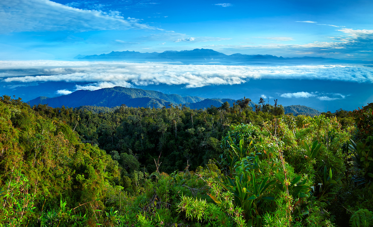 My 6 Favorite National Parks In Colombia | TravelAwaits
